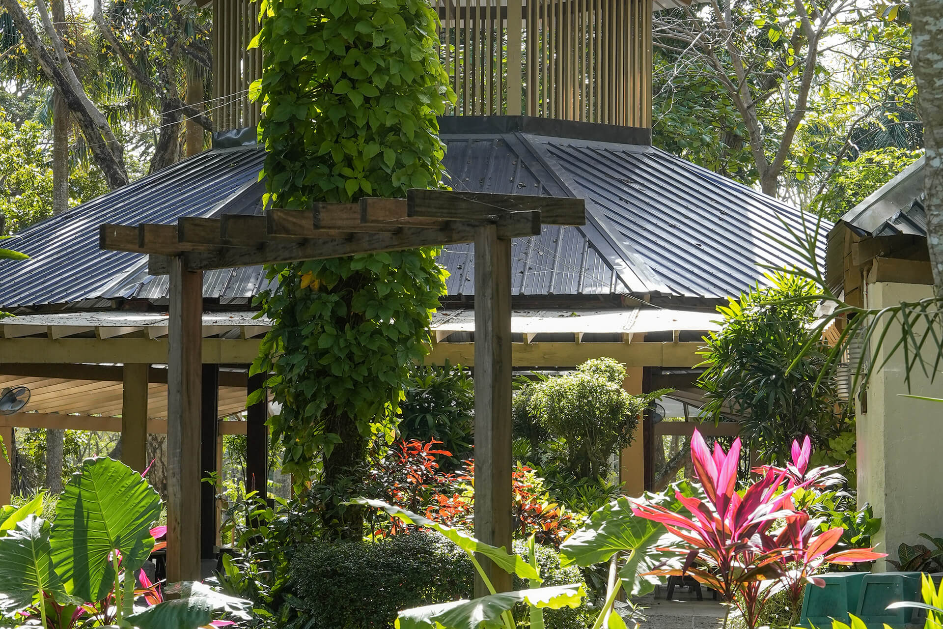 The Fun Farm – Sta. Elena Golf & Country Estate